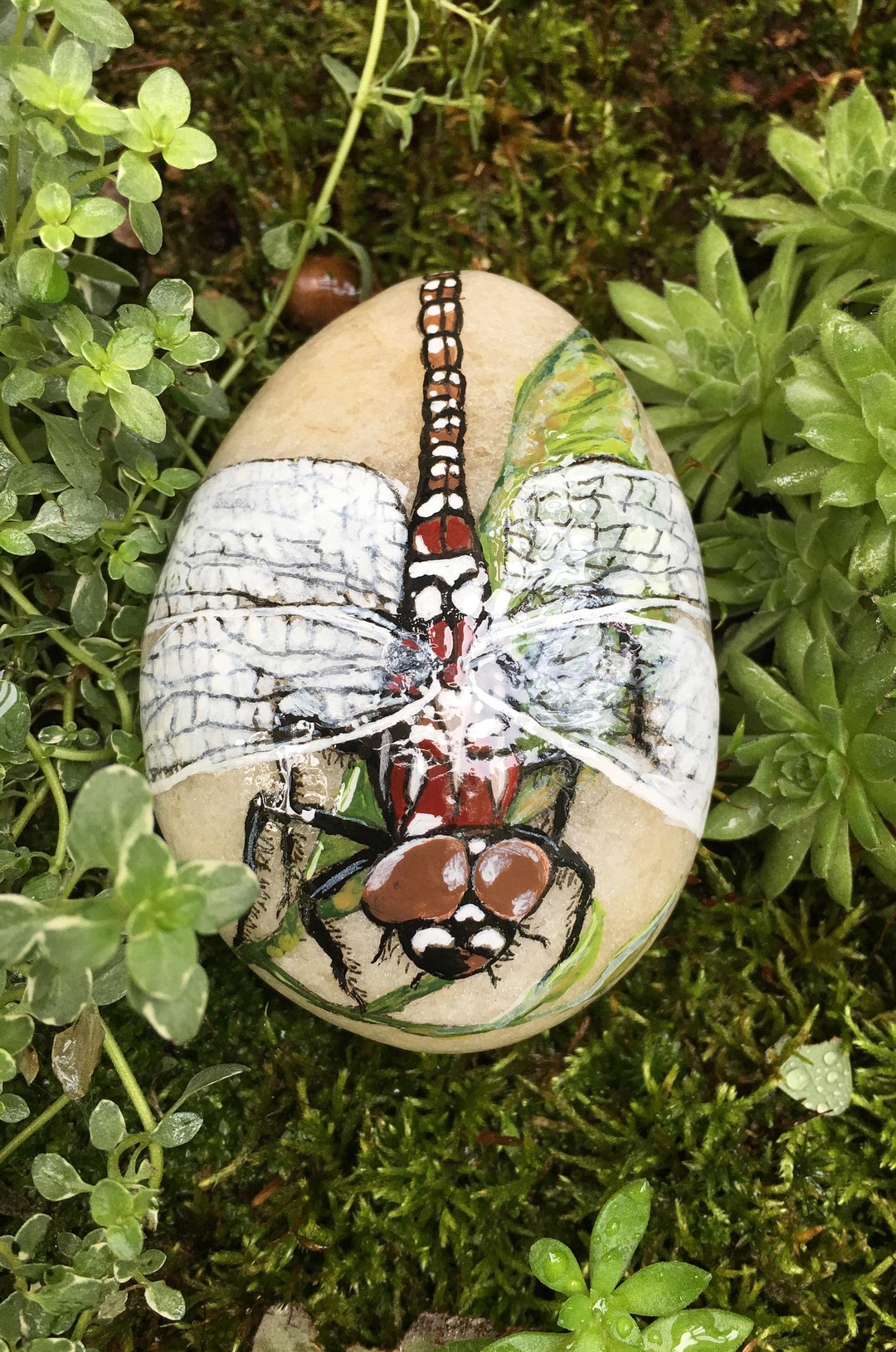 Hand Painted Dragonfly Stone - Etsy