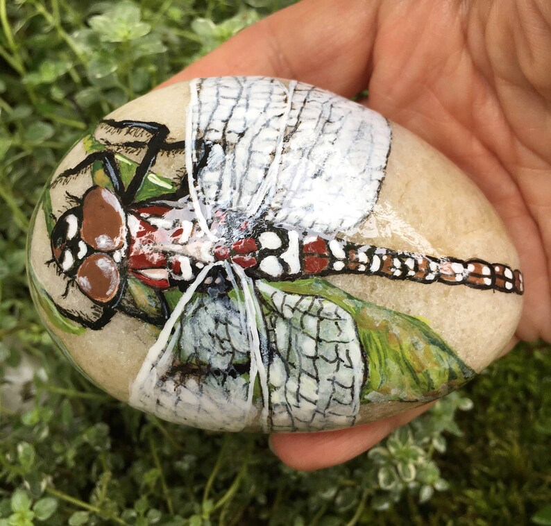 Hand Painted Dragonfly Stone - Etsy