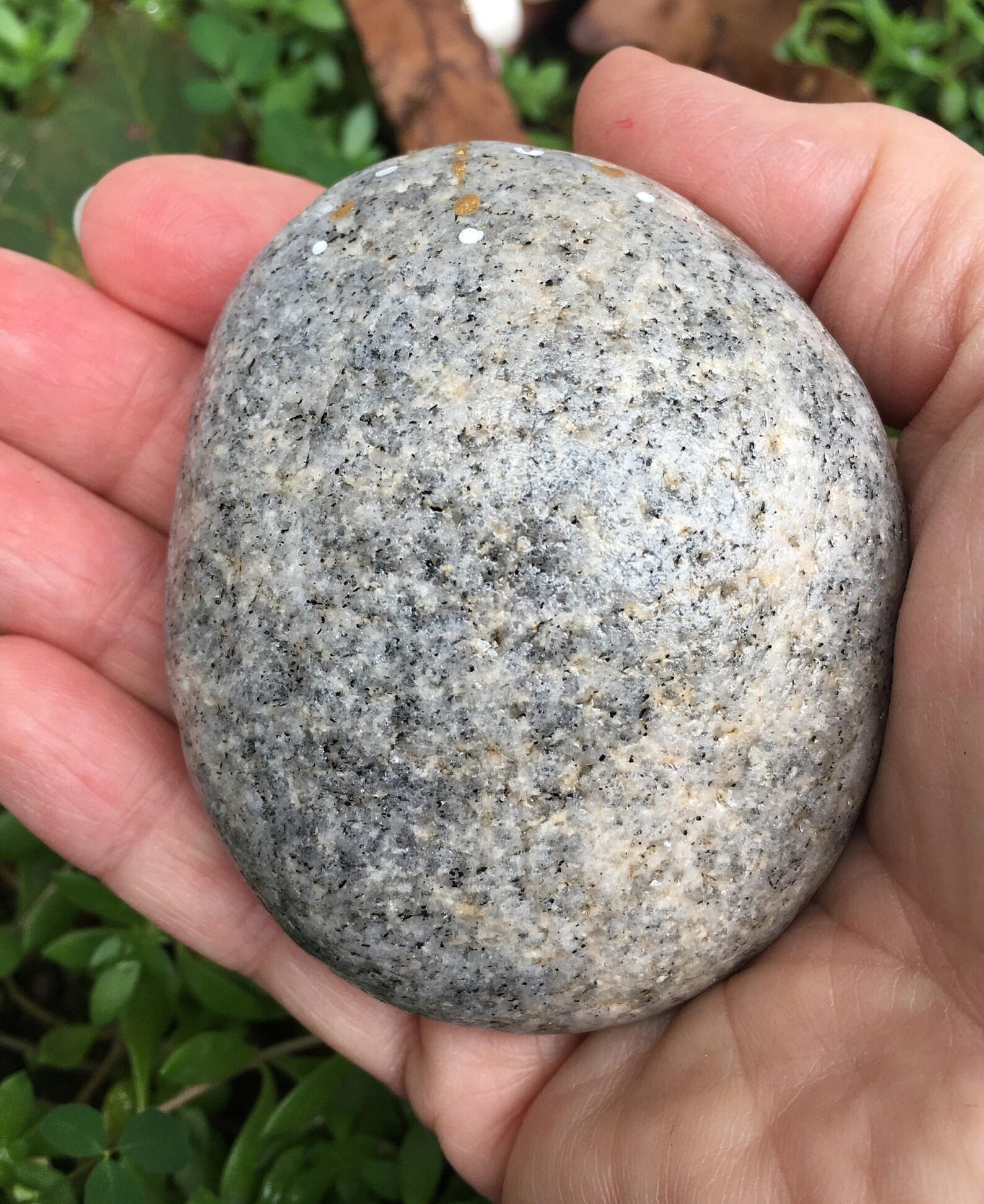 Hand Painted Christmas Tree Stone - Etsy