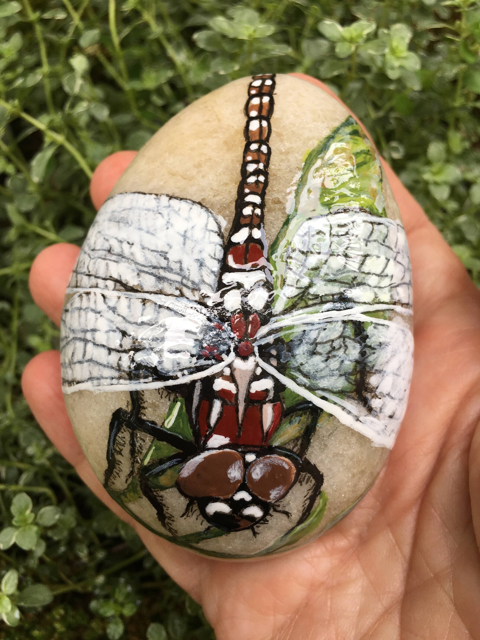 Hand Painted Dragonfly Stone - Etsy