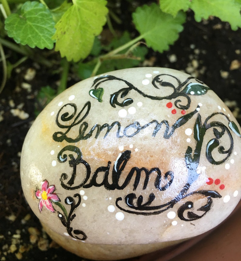 Hand Painted Lemon Balm Stone, Painted Stone, Hand Painted, Stone Art ...