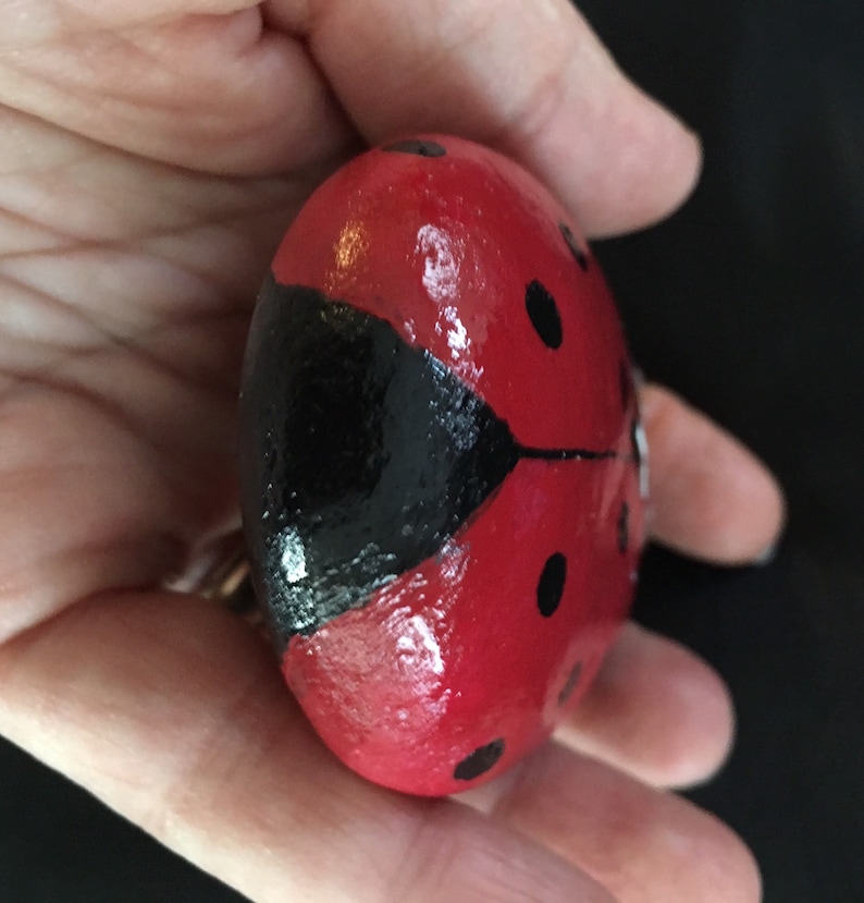 Hand Painted Cute Red Ladybug Stone - Etsy