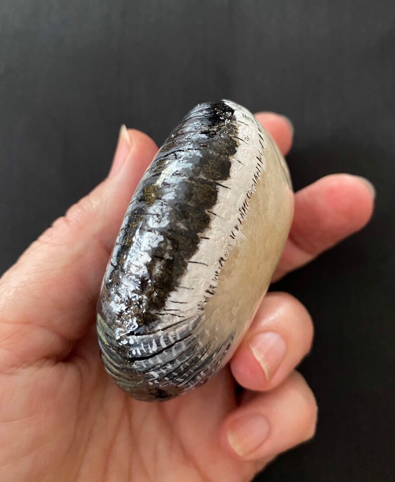 Hand Painted Thanksgiving Turkey Stone - Etsy