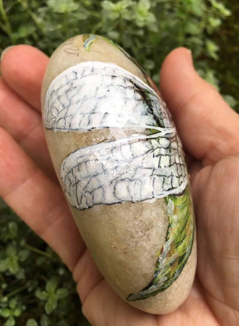 Hand Painted Dragonfly Stone - Etsy