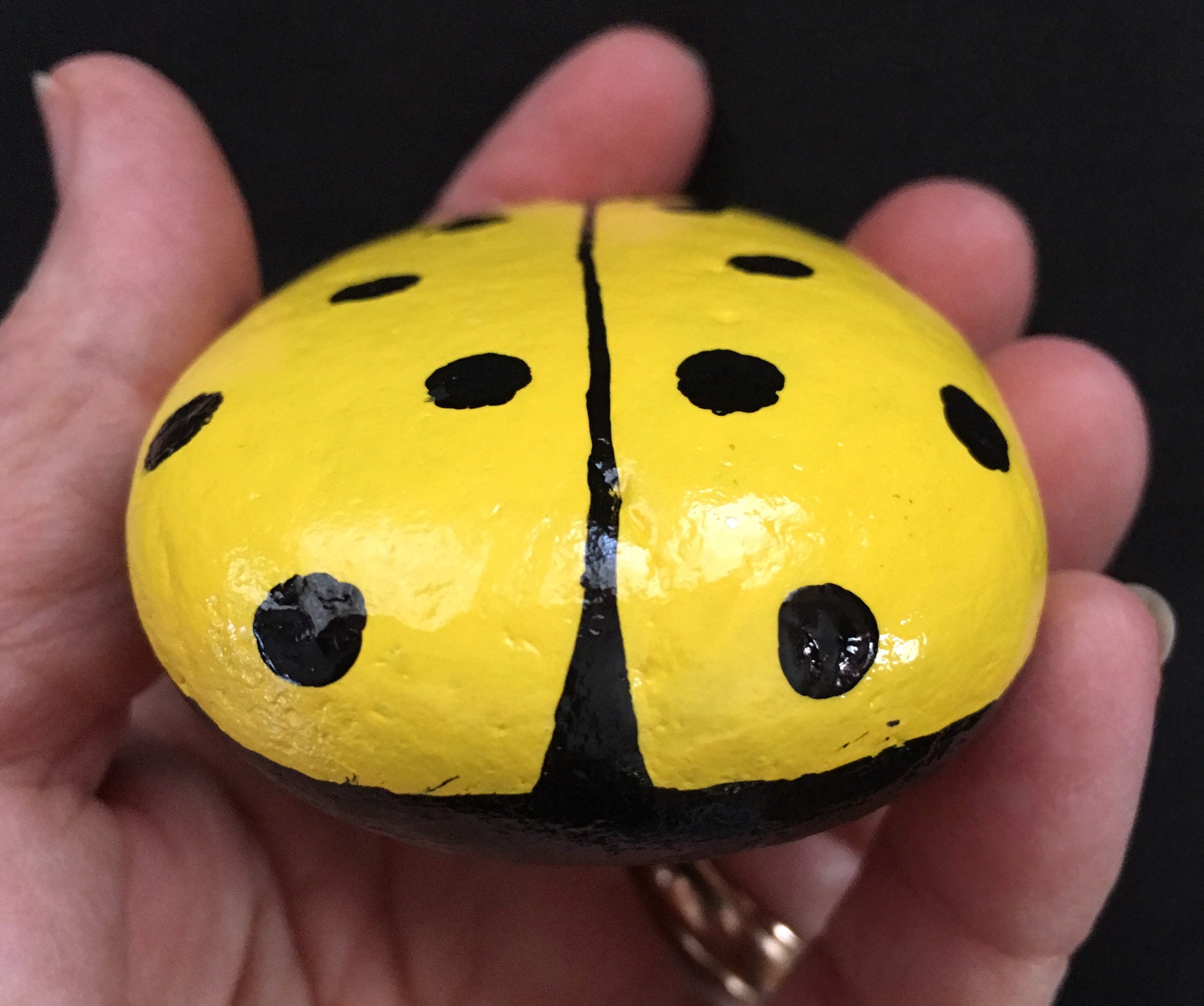 Cute Hand Painted Yellow Beetle Insect Stone - Etsy