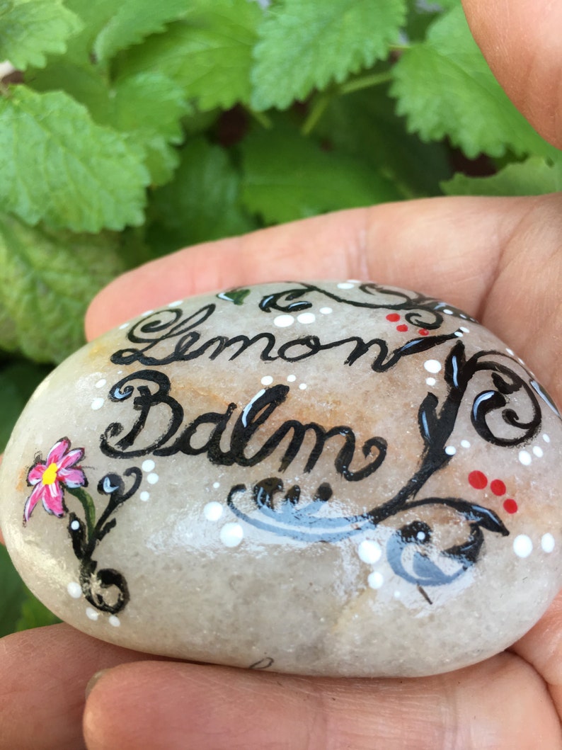 Hand Painted Lemon Balm Stone, Painted Stone, Hand Painted, Stone Art ...