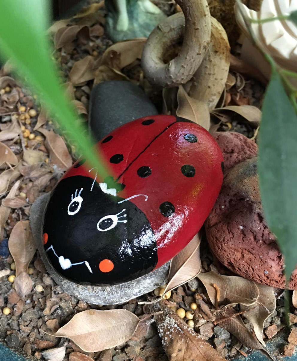 Hand Painted Cute Red Ladybug Stone - Etsy