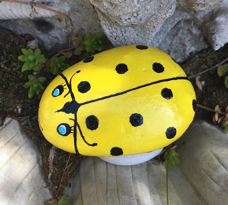 Cute Hand Painted Yellow Beetle Insect Stone - Etsy