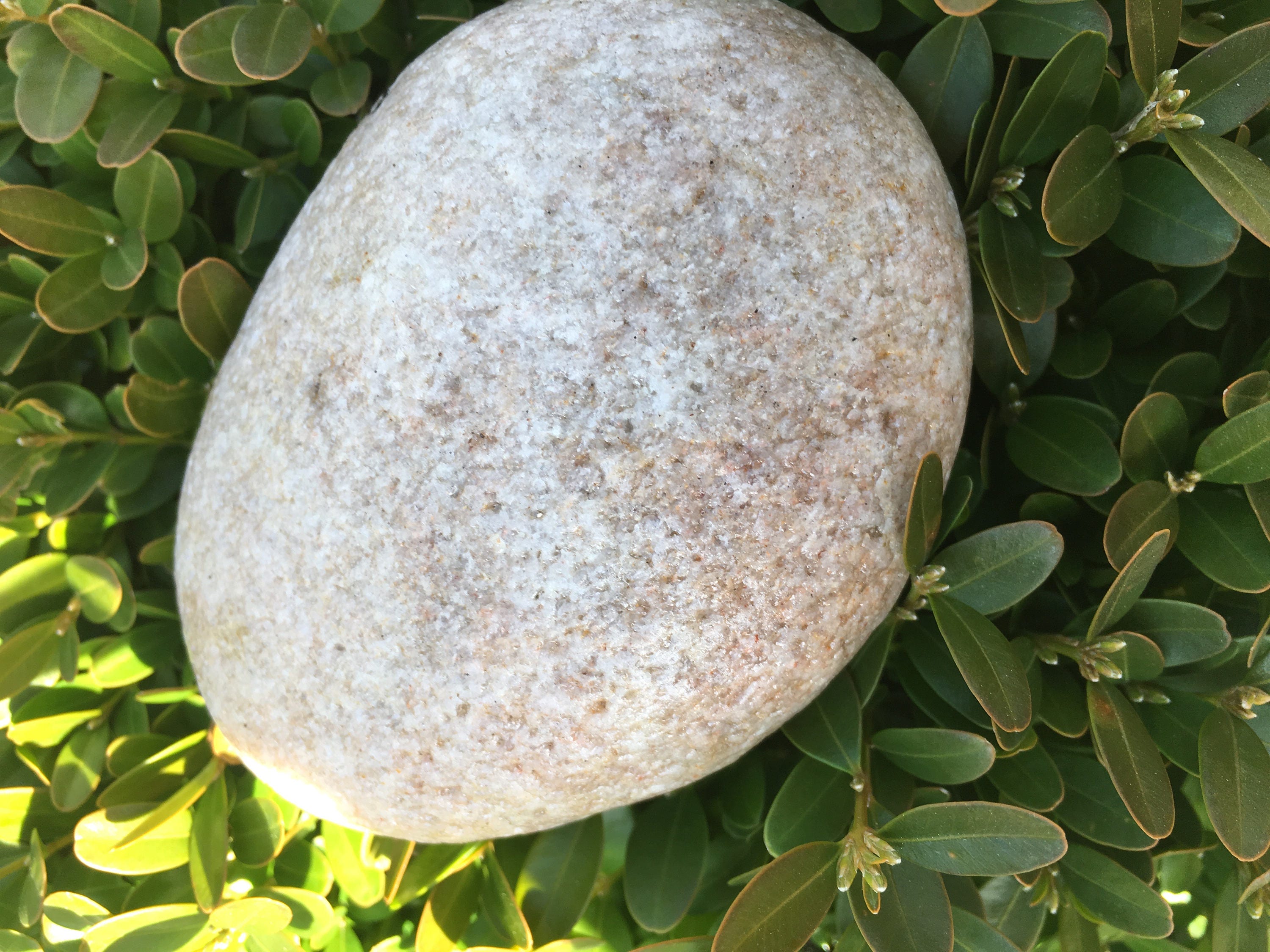 Hand Painted Bohemian Tree of Life Stone - Etsy