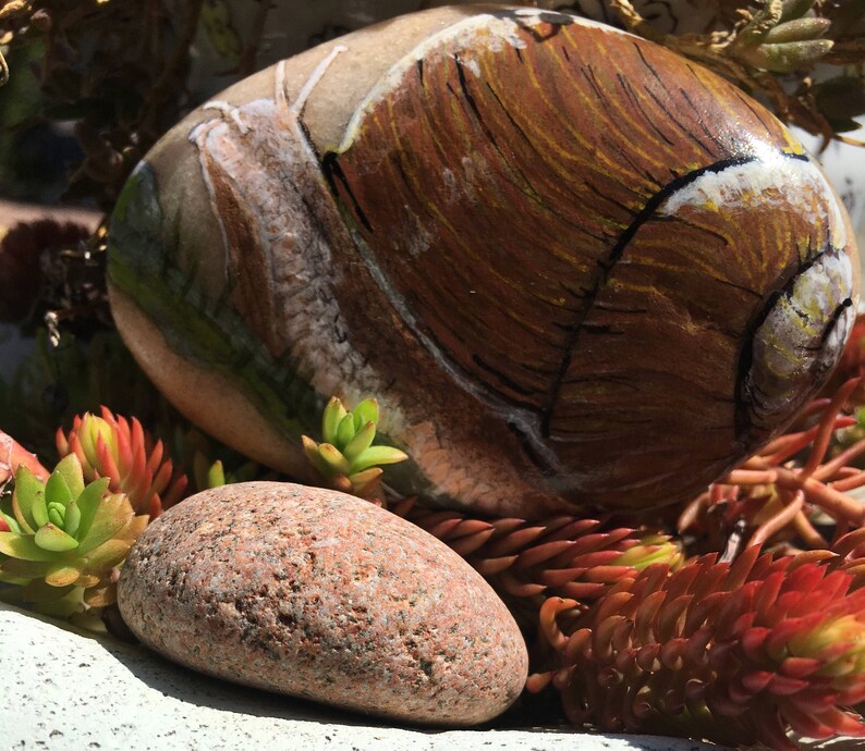 Hand Painted Garden Snail Stone - Etsy