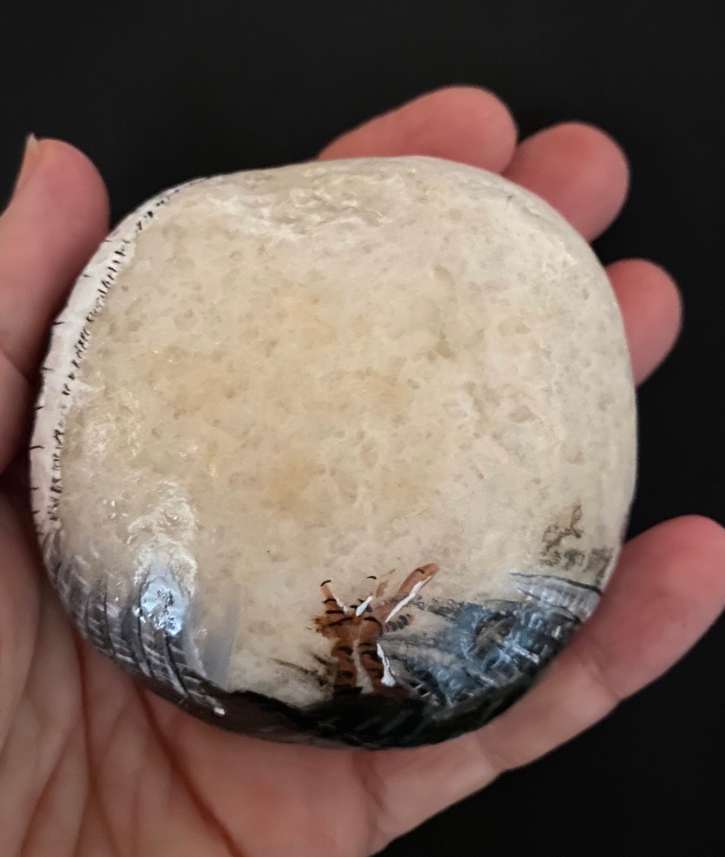 Hand Painted Thanksgiving Turkey Stone - Etsy