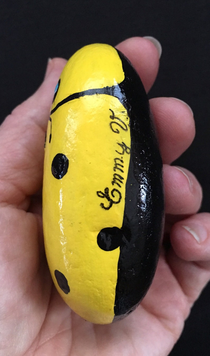 Cute Hand Painted Yellow Beetle Insect Stone - Etsy