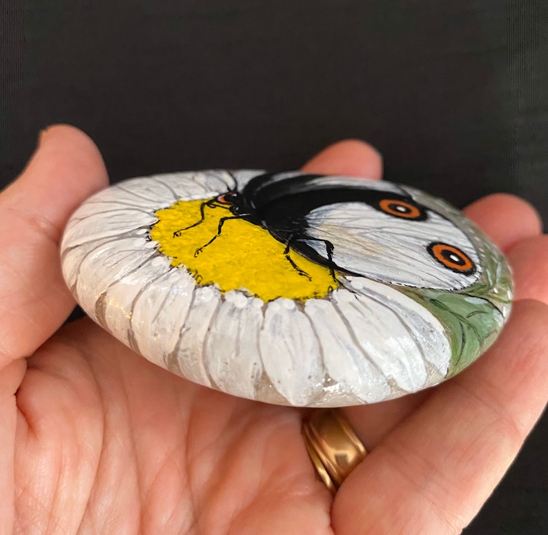 Hand Painted Butterfly Stone - Etsy