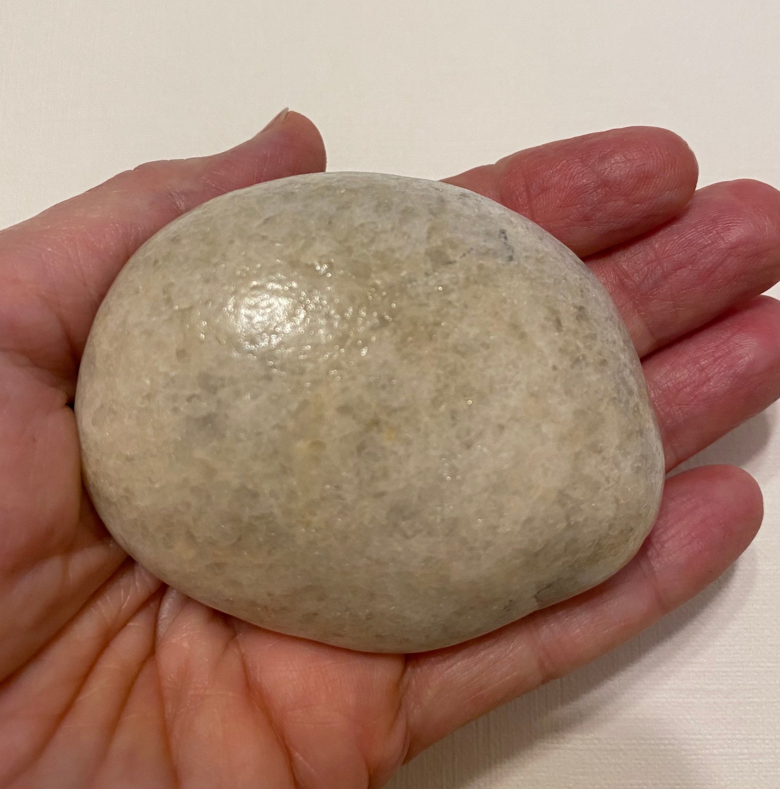 Hand Painted Queen Bee Stone - Etsy