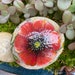 Hand Painted Poppy Flower Stone - Etsy