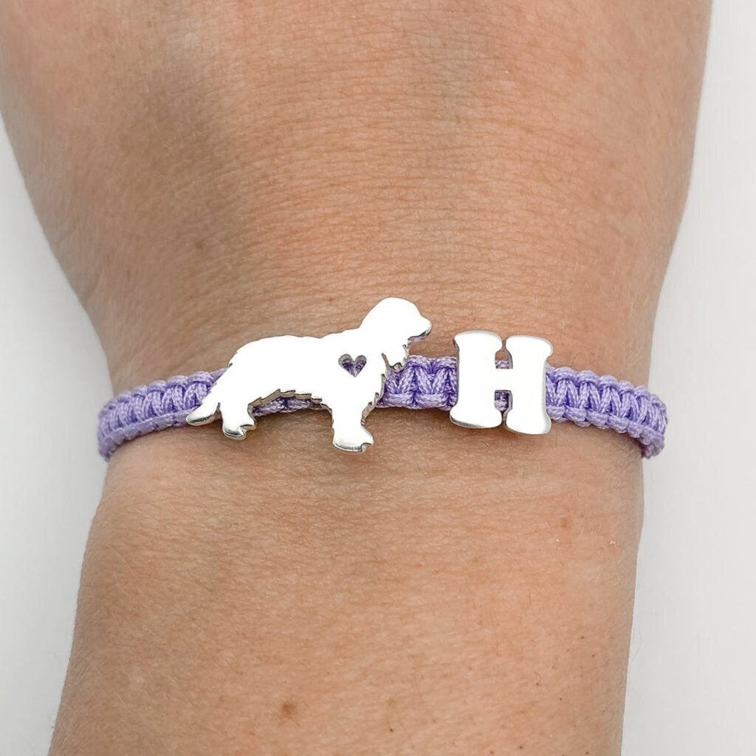 Cavalier King Charles Spaniel Dog, Cavalier Silhouette Dog, Cavalier ...