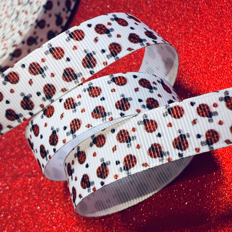 Ladybug Gifts - 60+ Gift Ideas for 2025