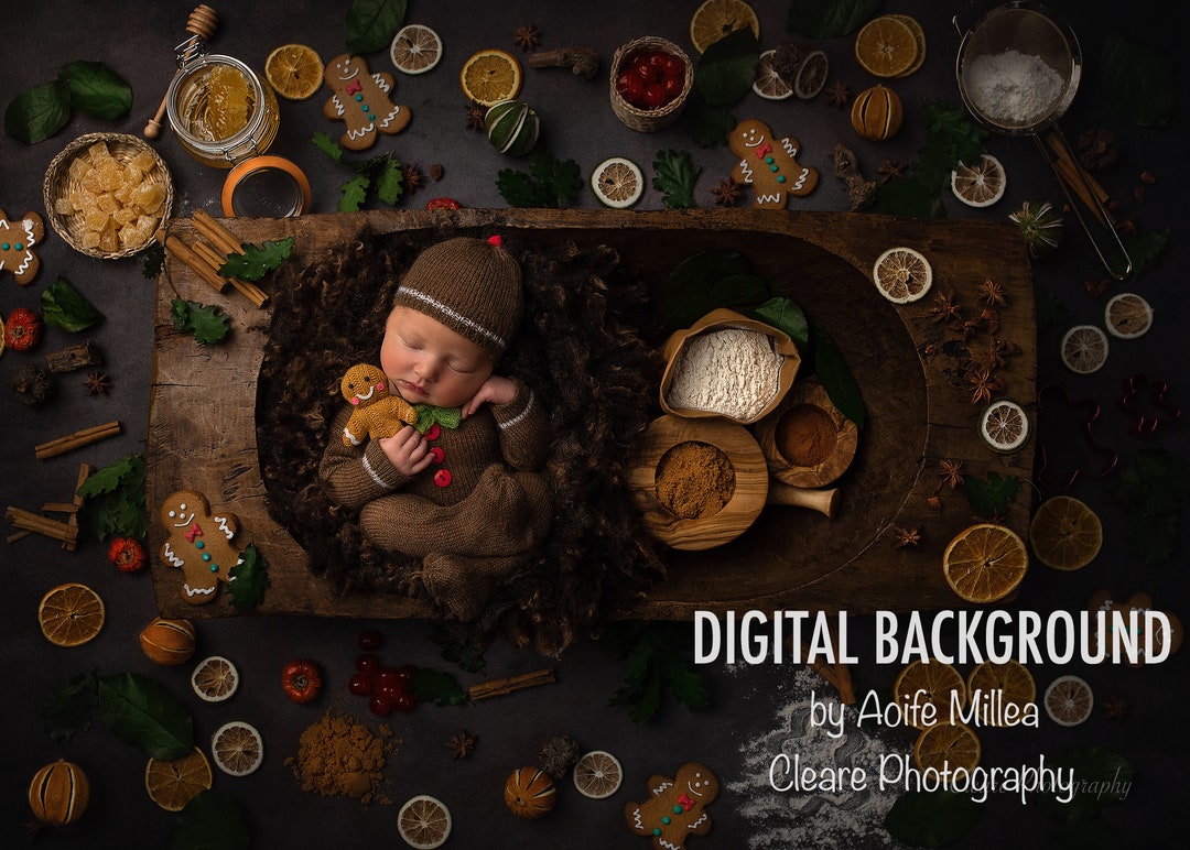 Newborn Gingerbread Digital Backdrop - Etsy