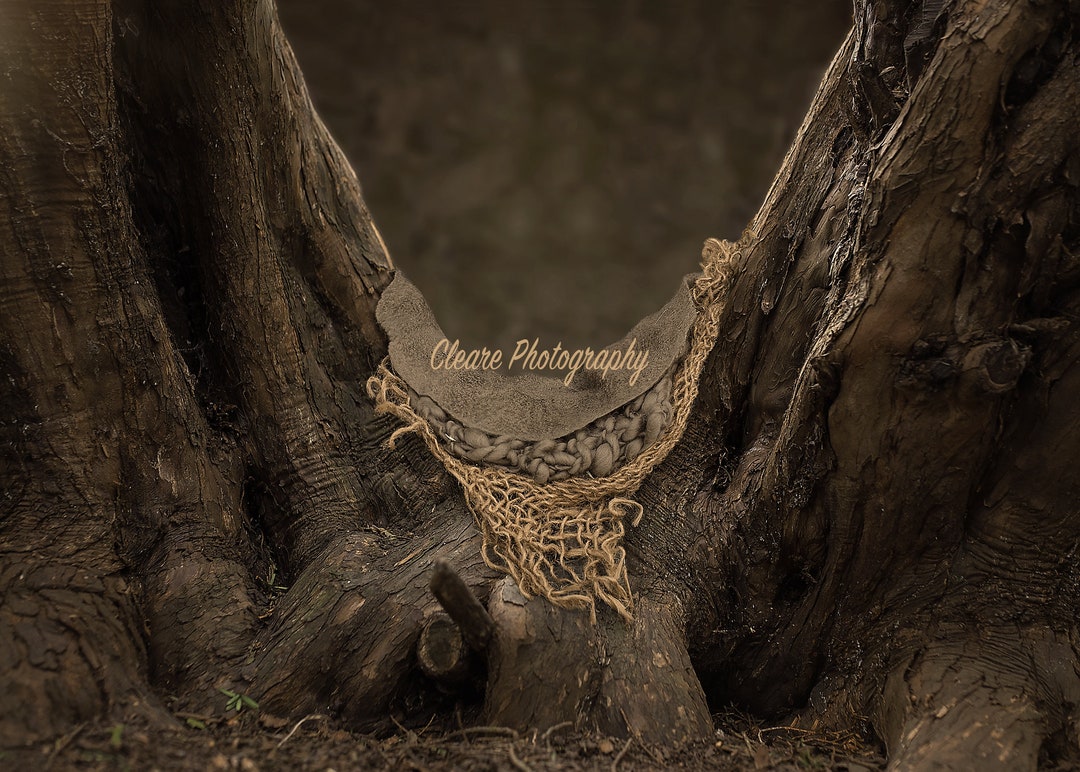 Tree Digital Backdrop ,newborn Digital Drop - Etsy