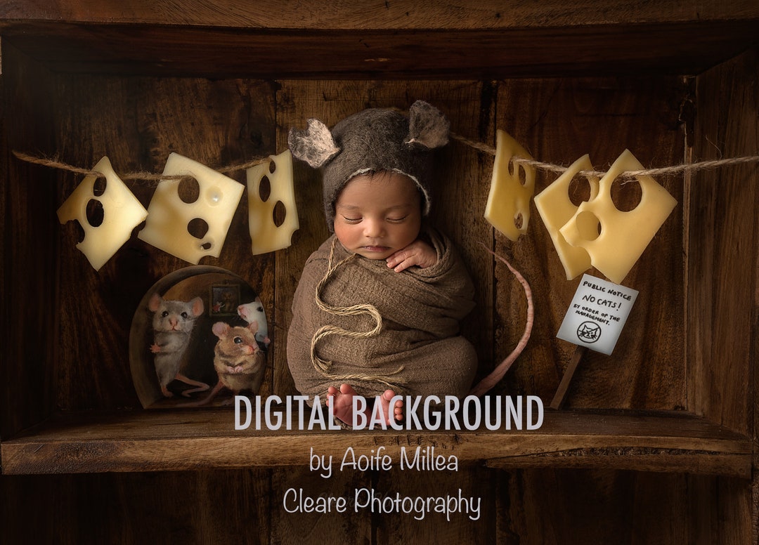 Newborn Mouse Shelf Digital Backdrop - Etsy