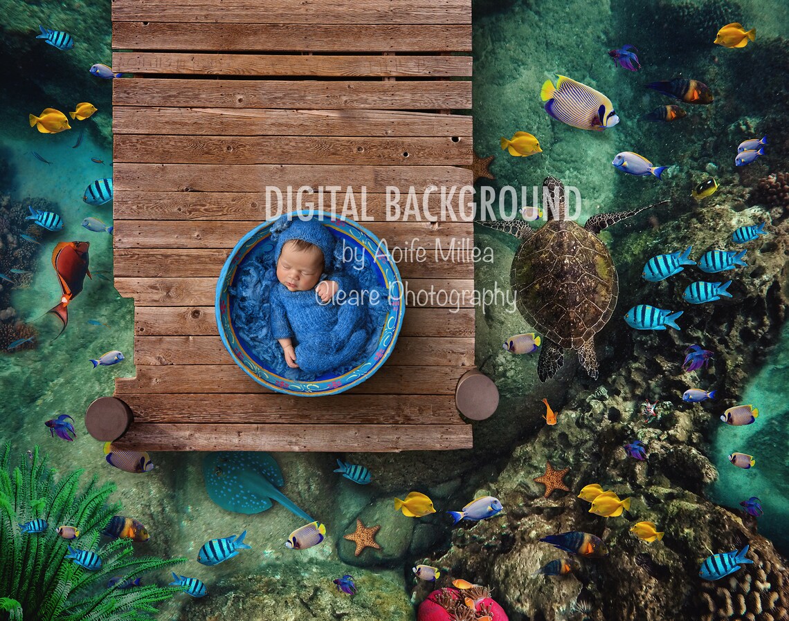 Turtle Pier Newborn Digital Background - Etsy