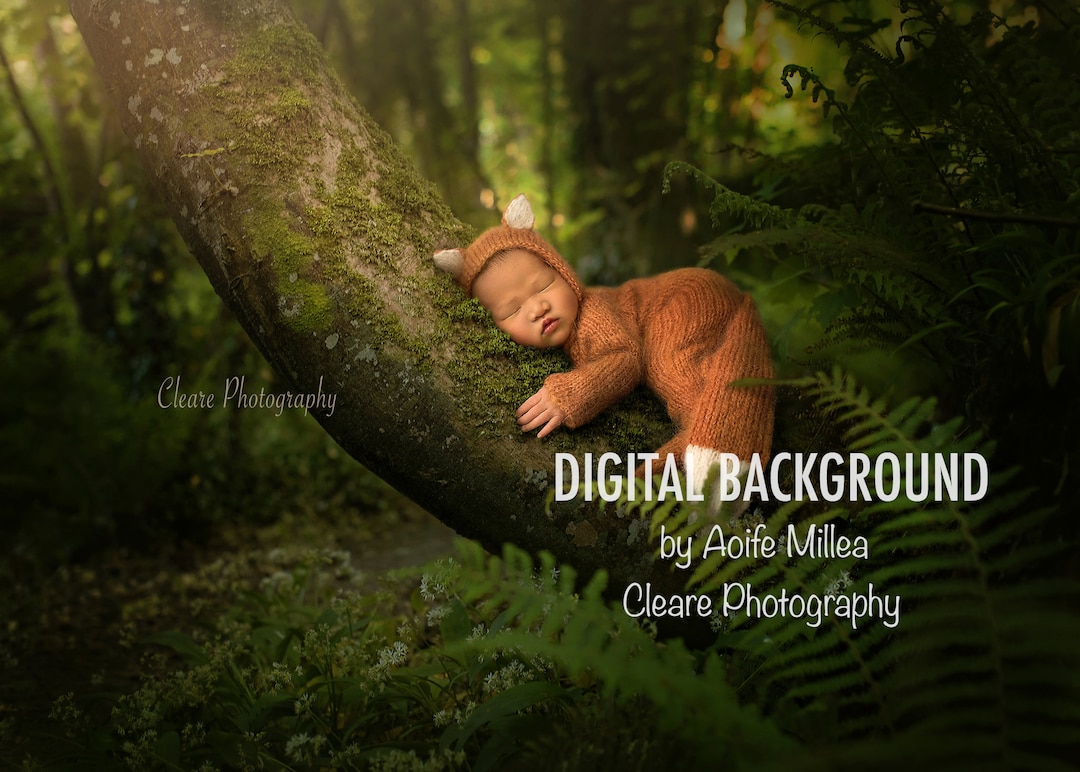 Newborn Forest Digital Backdrop - Etsy