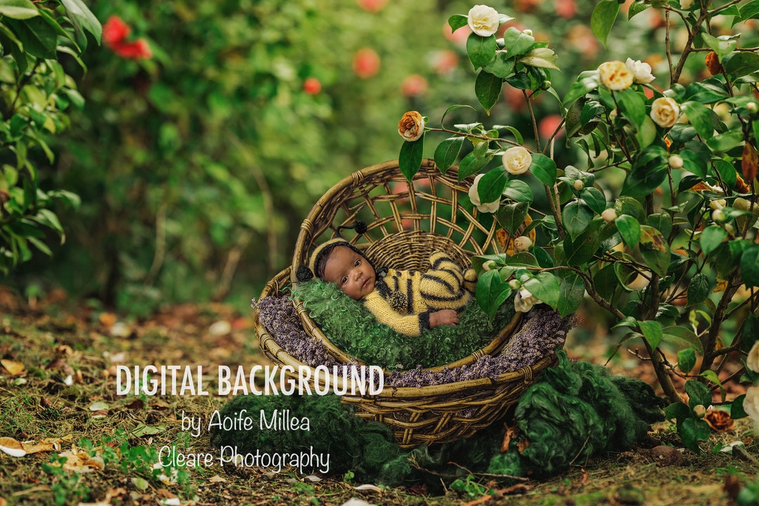 Spring Garden Newborn Digital Backdrop - Etsy