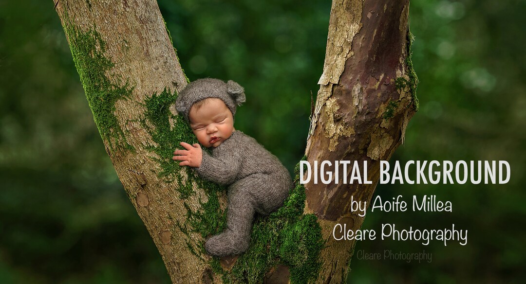Moss Tree Newborn Digital Background - Etsy