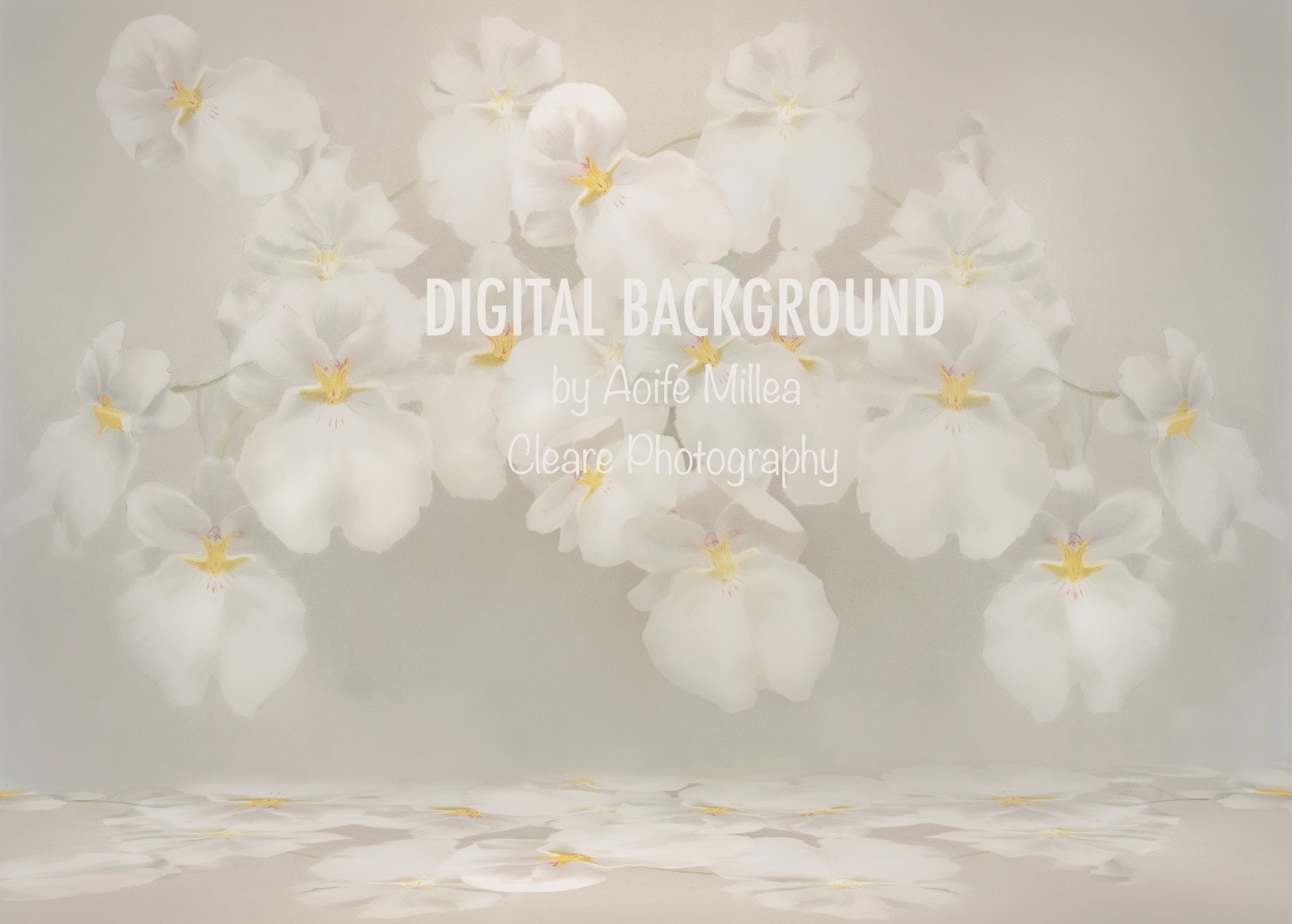 White Floral Digital Backdrop - Etsy