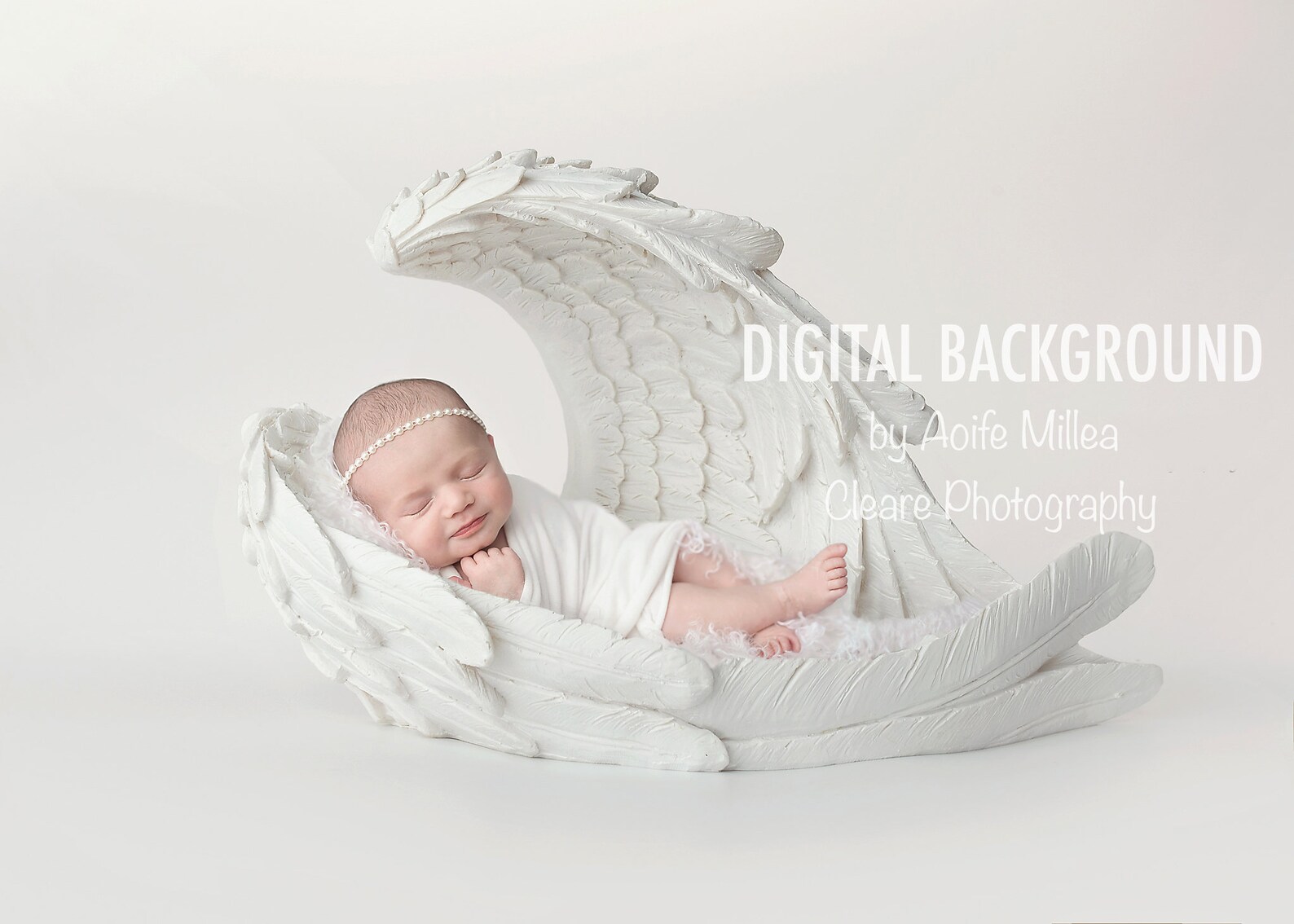 Newborn Angel Wings Digital Backdrop - Etsy
