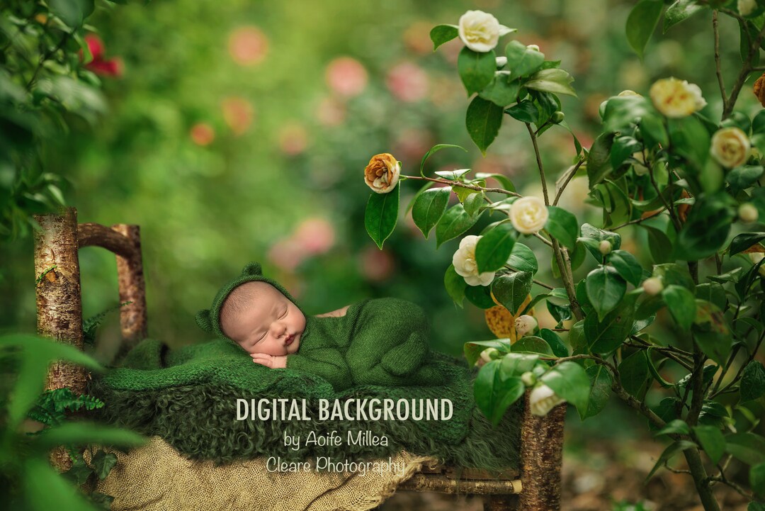 Spring Dreamer Newborn Bed Digital Background - Etsy