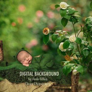 Spring Dreamer Newborn Bed Digital Background - Etsy