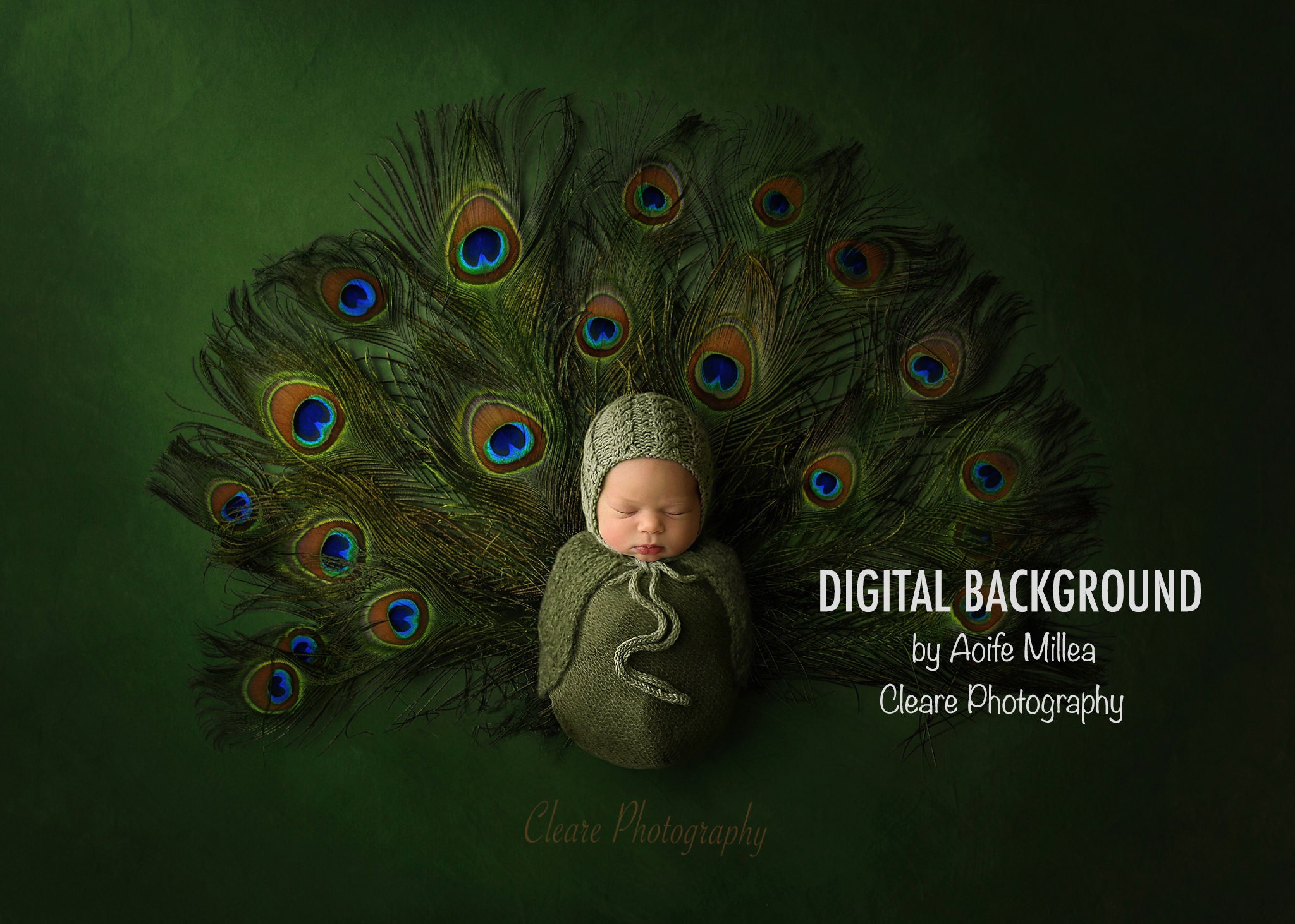 Newborn Peacock Digital Background - Etsy