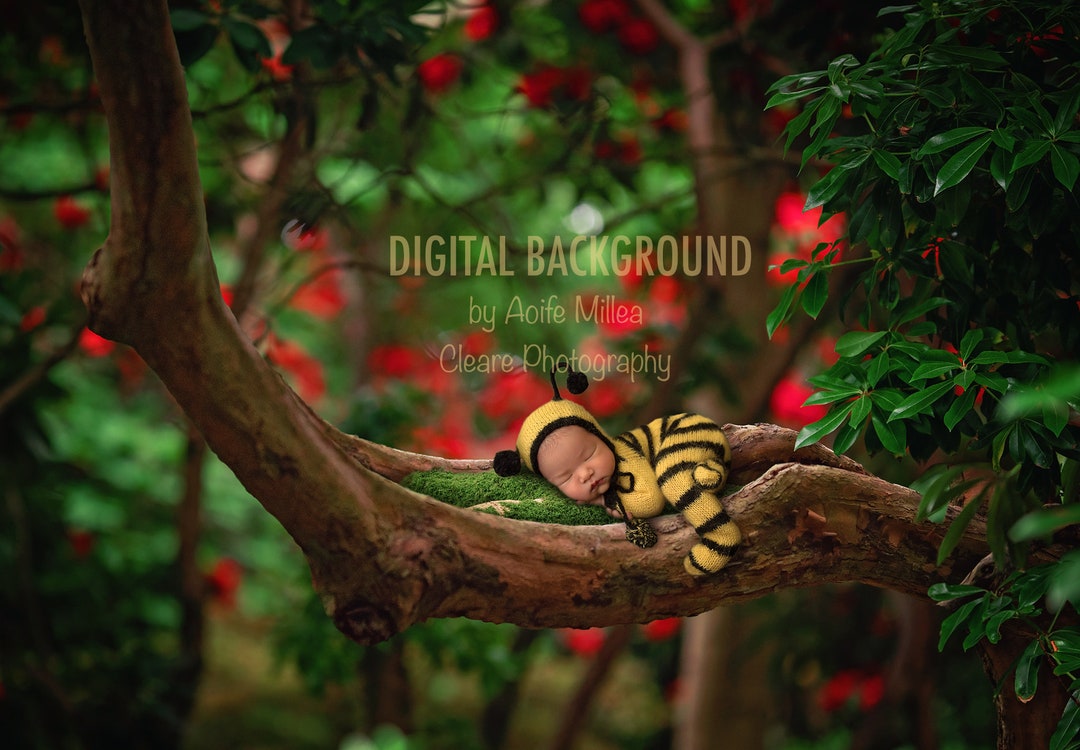Nature Cradle Newborn Digital Backdrop - Etsy