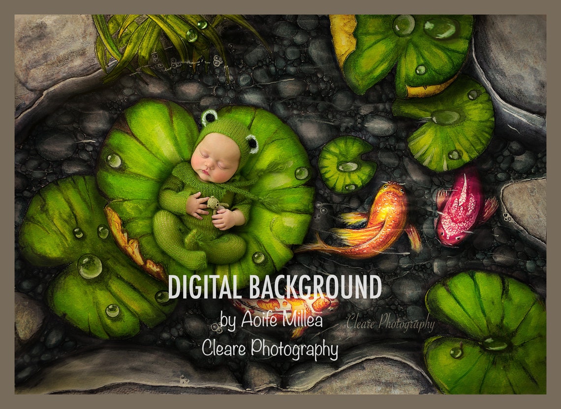 Hand Drawn Pond Digital Backdrop - Etsy