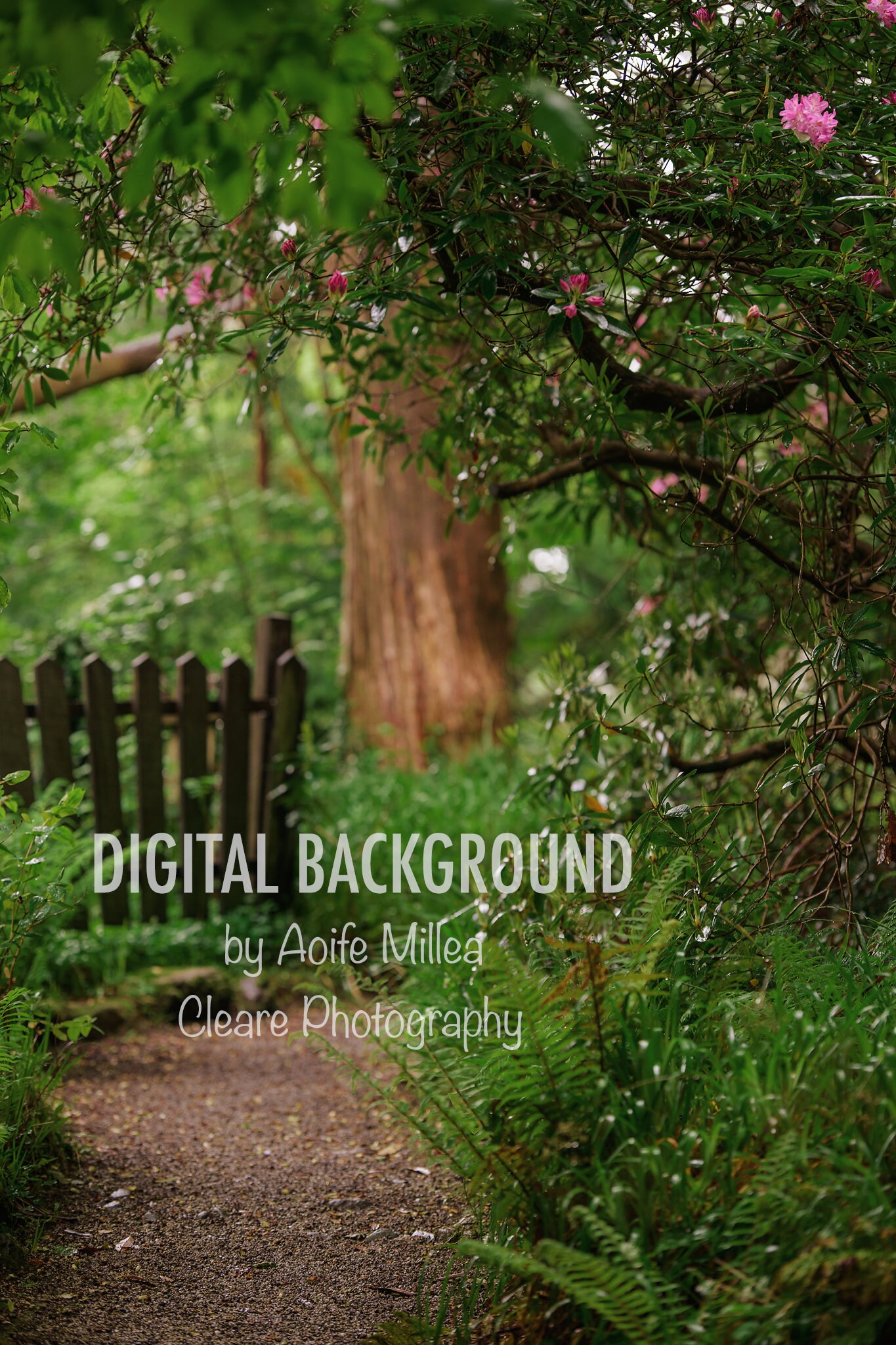Garden Path Digital Backdrop - Etsy