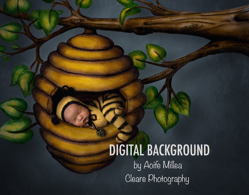 Newborn Bee Hive Digital Backdrop , Hand Drawn - Etsy