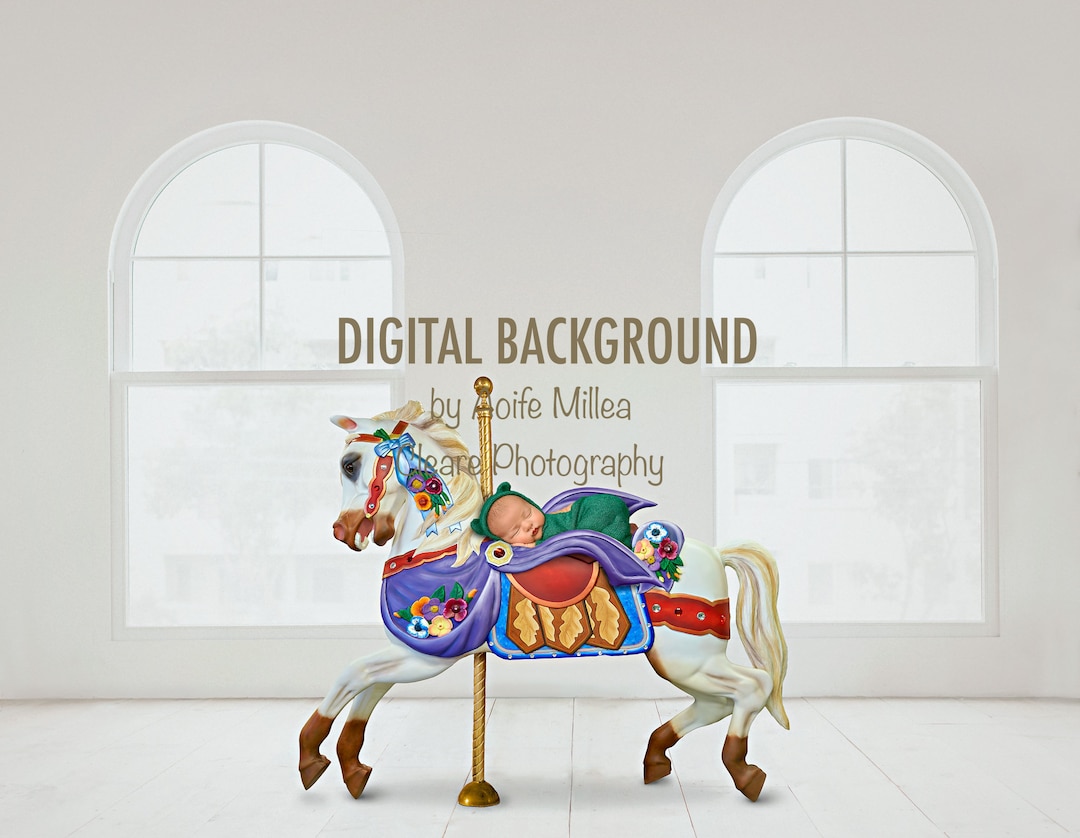 Carousel Horse Window , All Ages Layered Digital Backdrop - Etsy