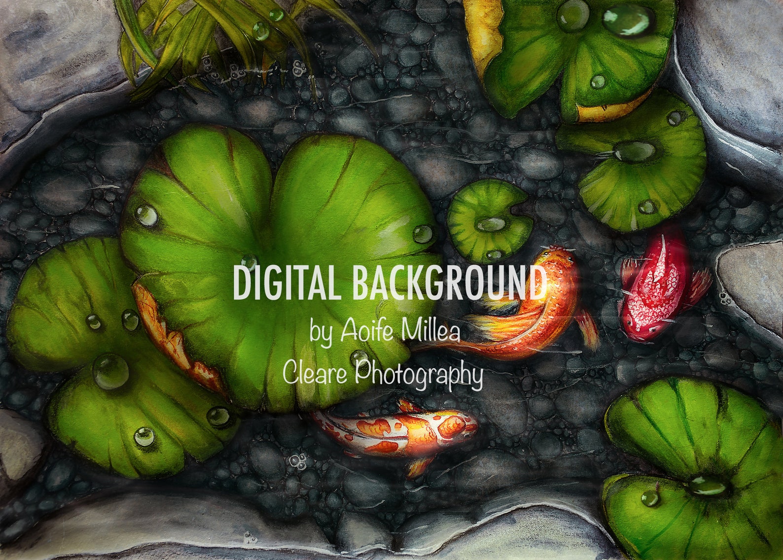 Hand Drawn Pond Digital Backdrop - Etsy