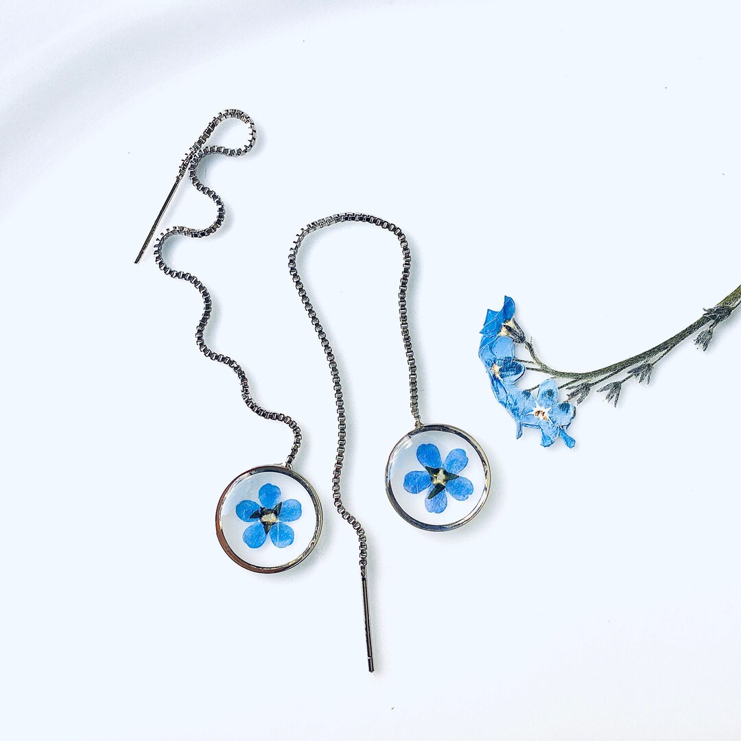 Forget Me Not, Real Forget Me Not, Dried Flowers, Forget Me Not ...