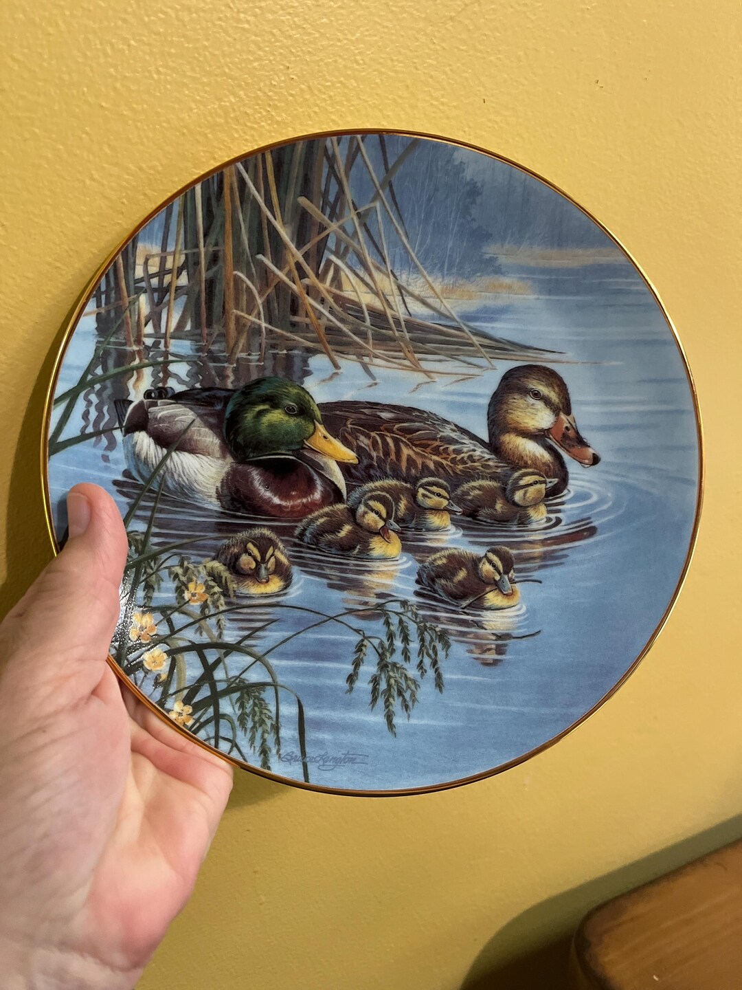 Bruce Langton Duck Family Plate: 1991 Maillard Collectible - Etsy