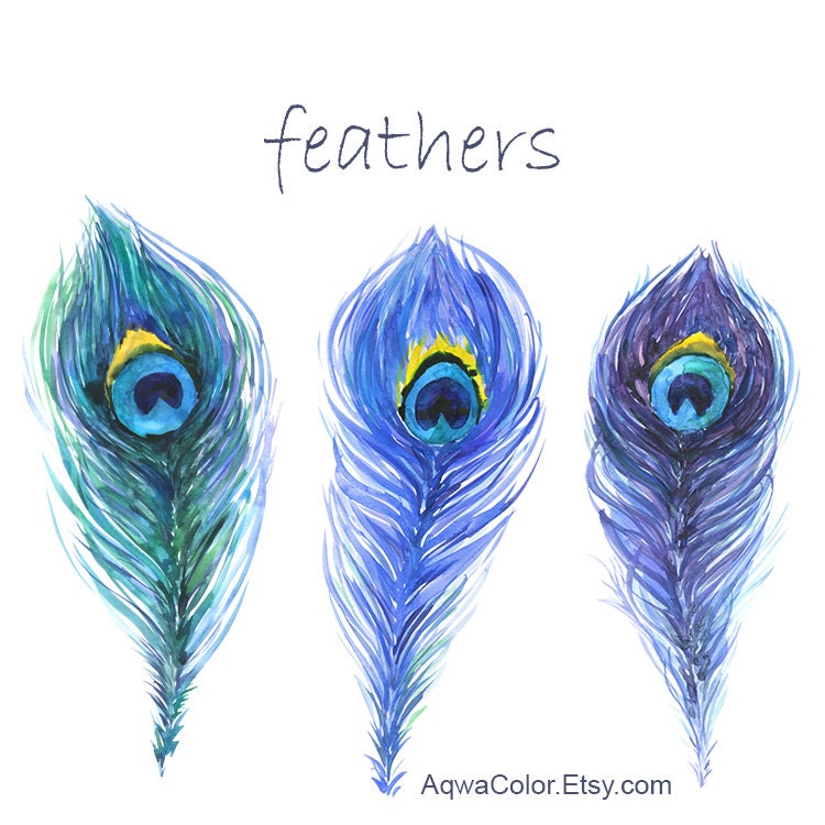 Watercolor Clipart Feathers and Succulents - Commercial Use Clipart ...