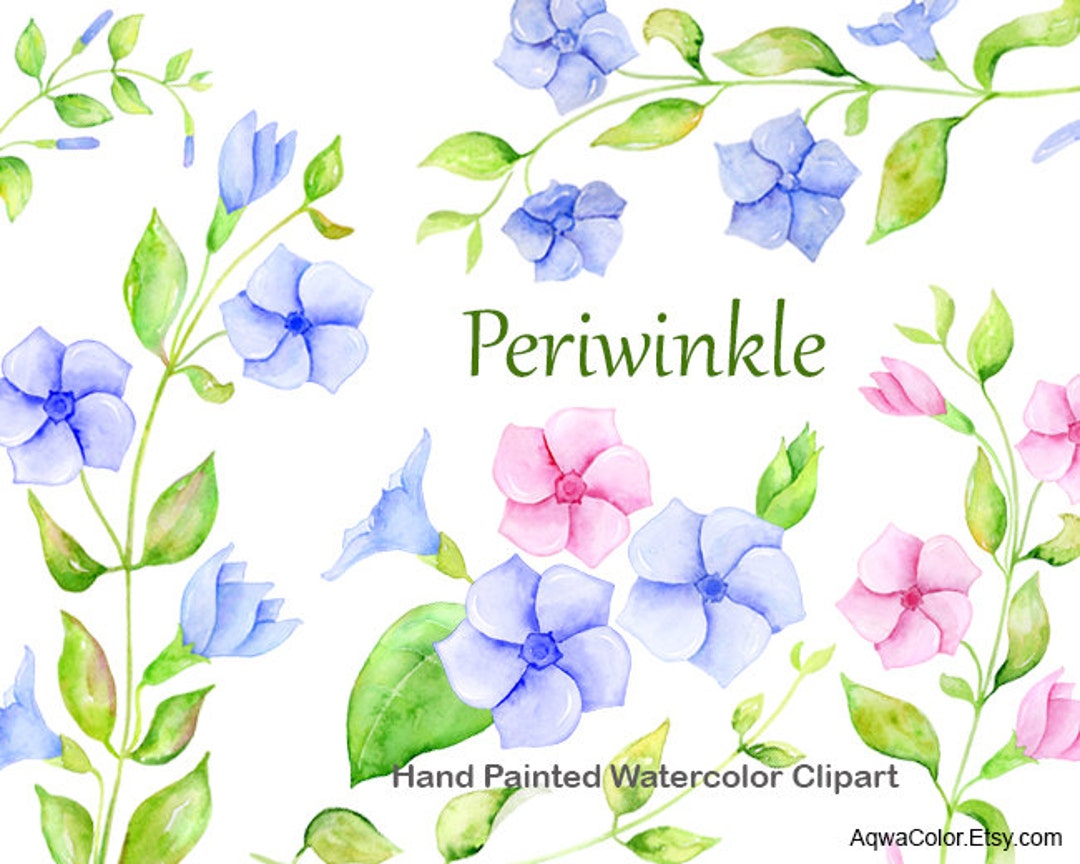 Watercolor Flower Clipart Periwinkle - Commercial Use Clipart Blue Pink Flowers Clipart Wedding ...