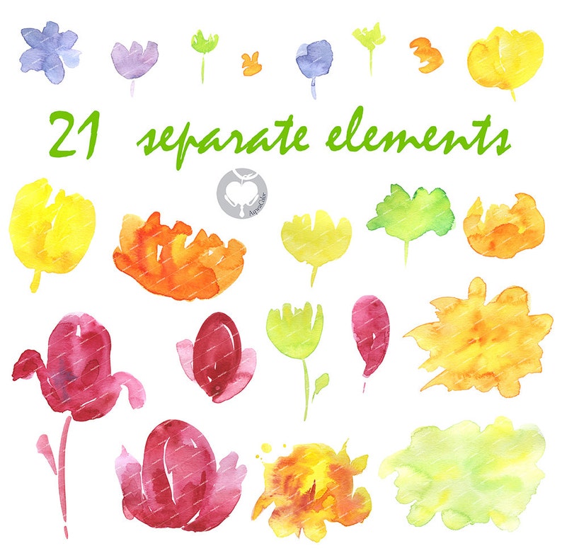 Watercolor Border Clipart Meet Spring Commercial Use Clipart Hand ...