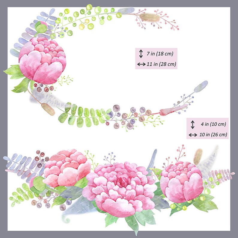 Royal Peonies - Watercolor Clipart Peonies, Commercial Use Clipart ...