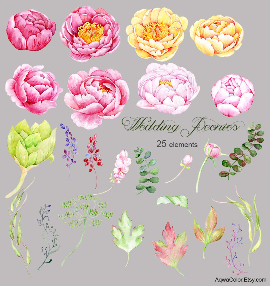 Watercolor Peonies Clipart Wedding Peonies - Commercial Use Flower ...