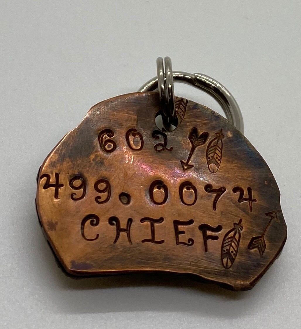 Indian chief dog tag southwestern dog tag dog tag for chief | Etsy