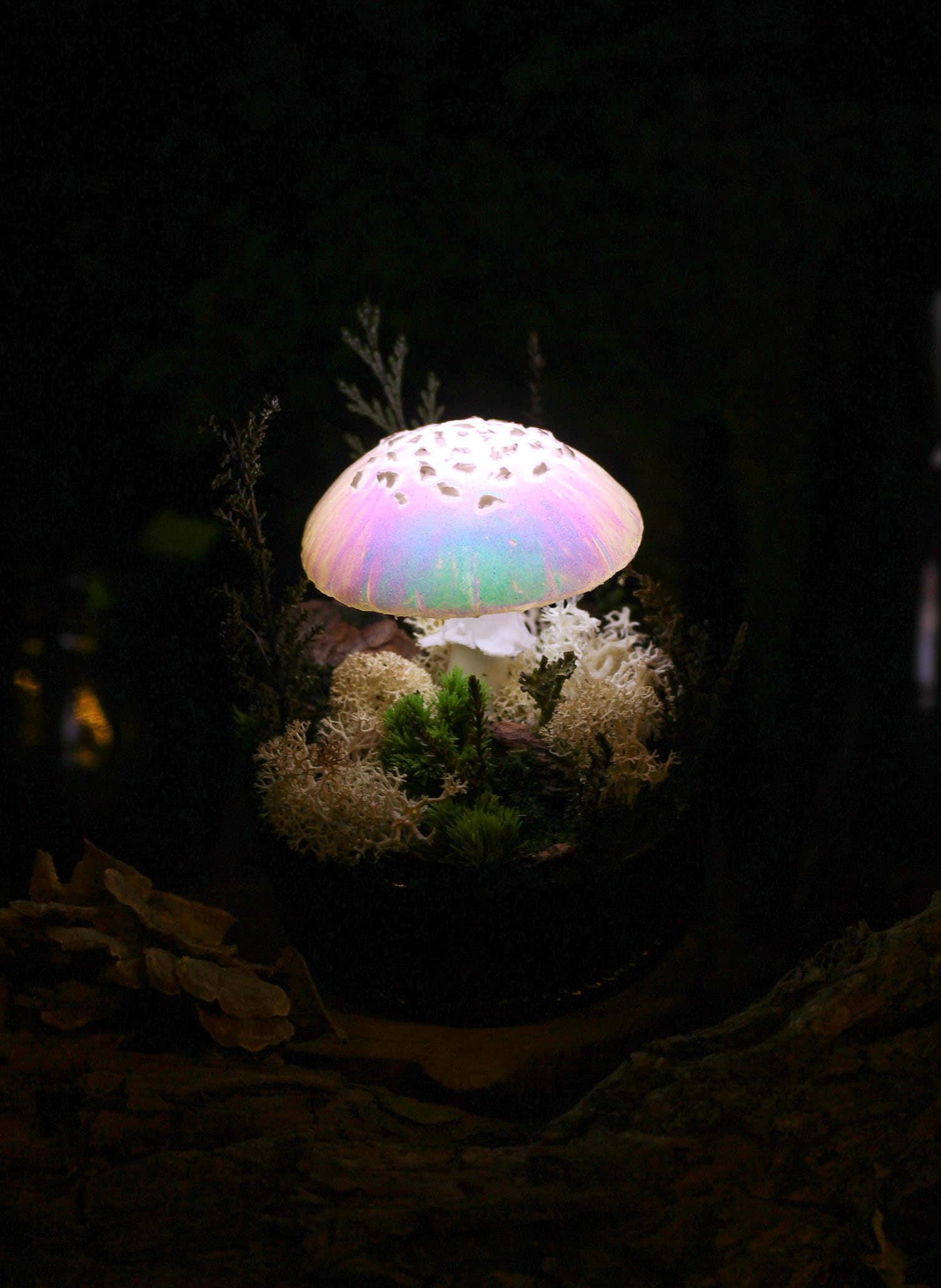 Mushroom Lamp Made To Order Mushrooms Mushroom Lamp Etsy Australia