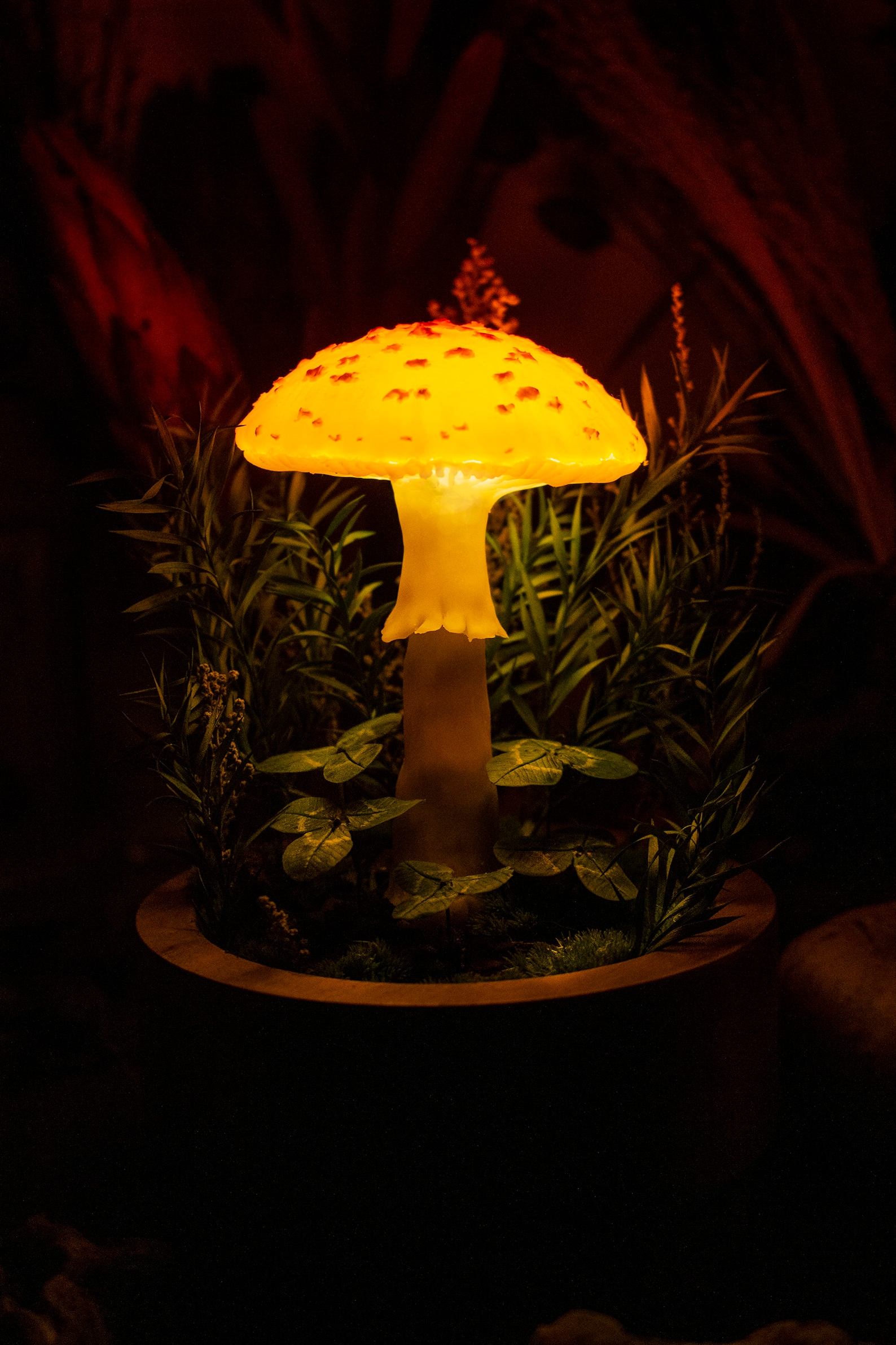 Mushroom Lamp MADE to ORDER Fly Agaric Amanita Mushroom - Etsy