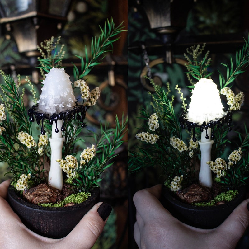 Mushroom Lights - Etsy